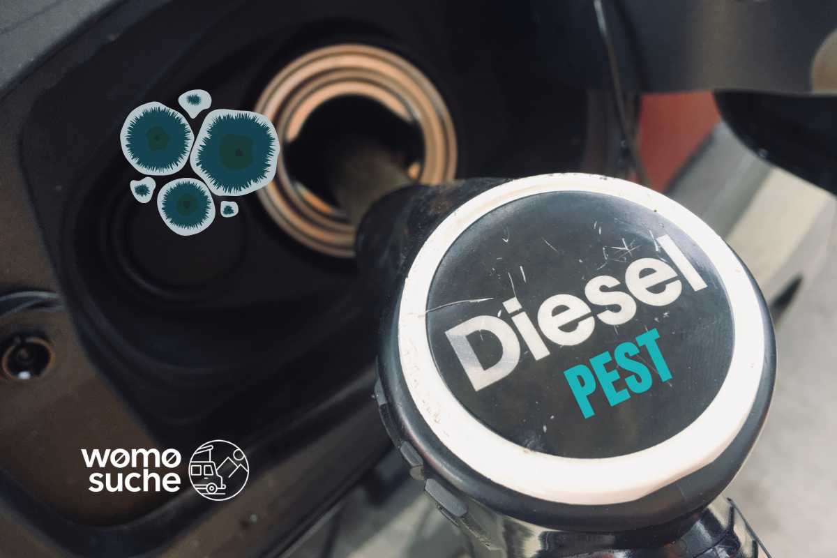 Dieselpest - was tun gegen Schimmel im Dieseltank? - Magazin